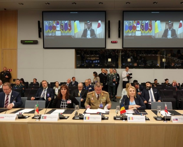 State Secretary Simona Cojocaru and the Chief of Defence Staff, General ...